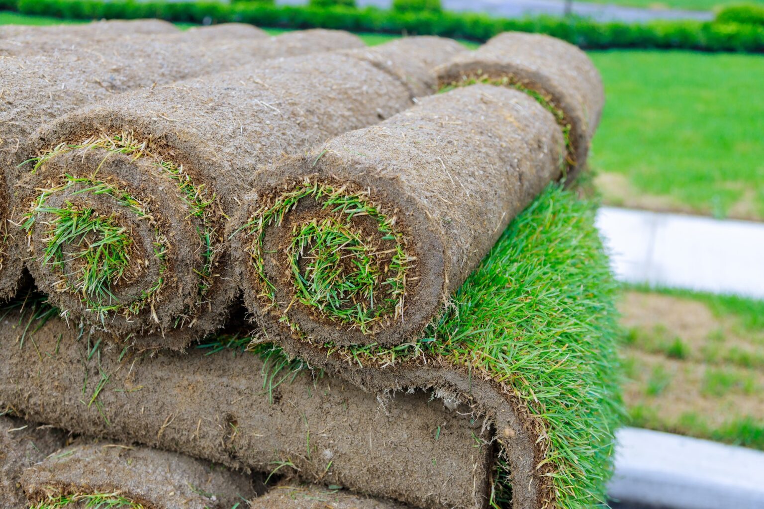 Landscaping/Sod Installation | NorthTech Irrigation