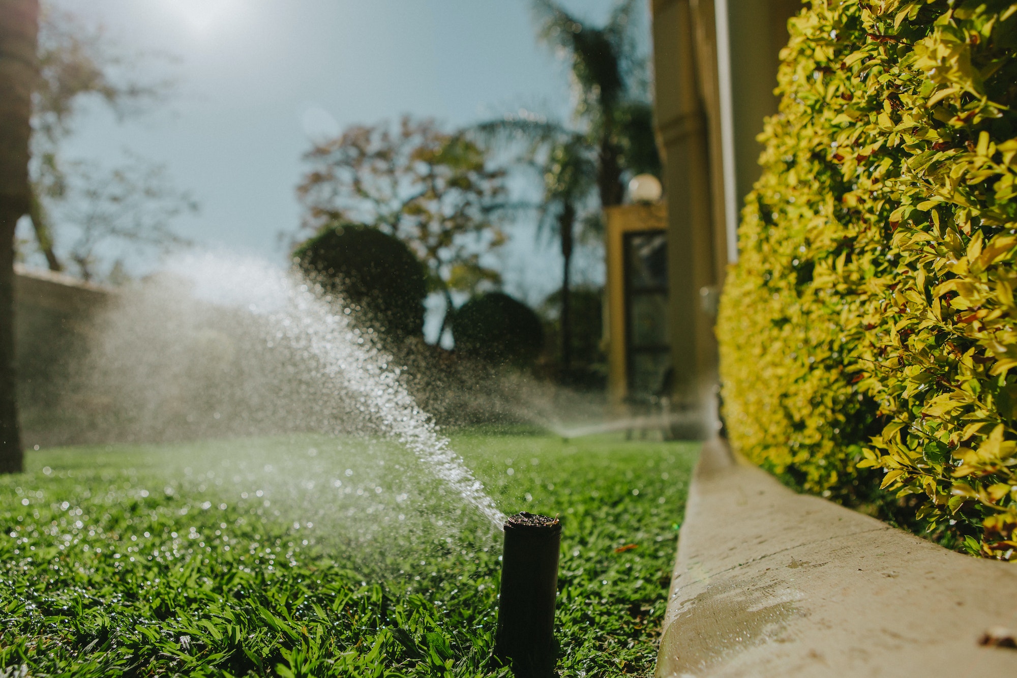 Residential Irrigation Services | NorthTech Irrigation