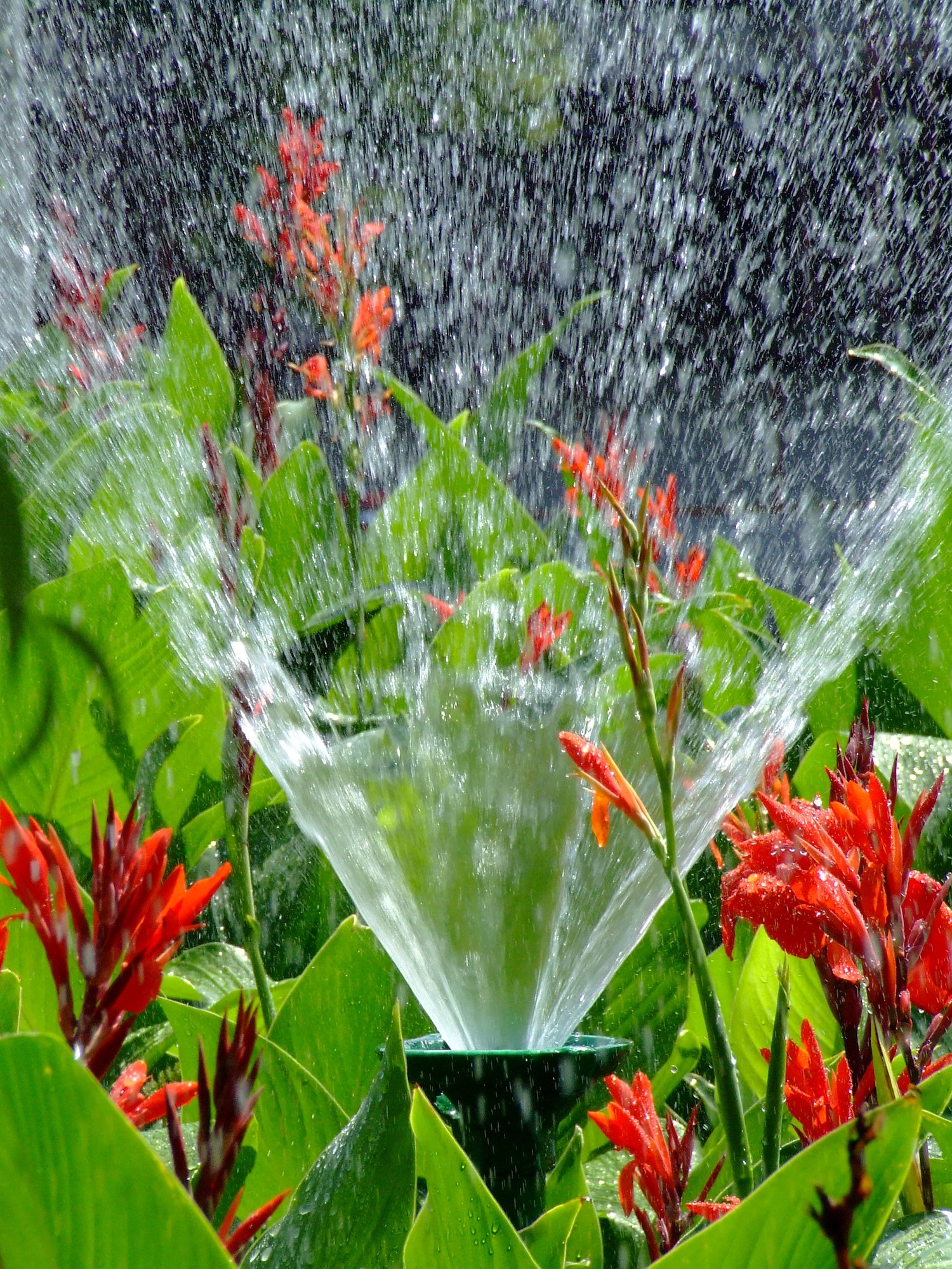 Residential Irrigation Services | NorthTech Irrigation